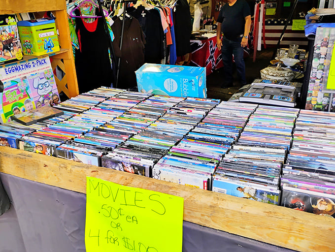 DVD collectors, rejoice! This cinematic treasure trove offers forgotten favorites and cult classics at prices that make streaming services seem extravagant.