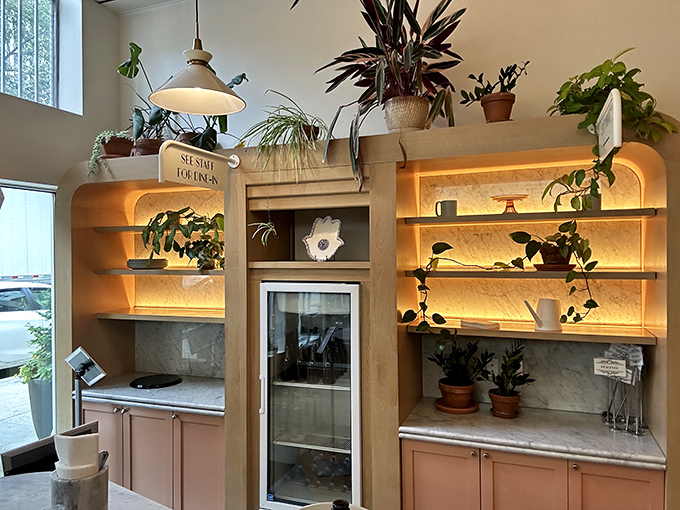 Plants cascade from illuminated shelves, creating a greenhouse effect that makes both the pastries and conversations bloom with equal vigor.