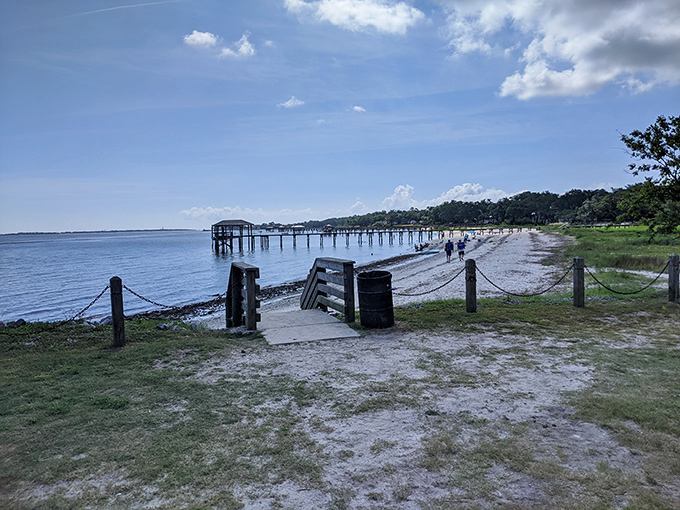 Demetre Park's shoreline offers that quintessential Lowcountry vista where the horizon seems infinite and your worries suddenly feel very small.
