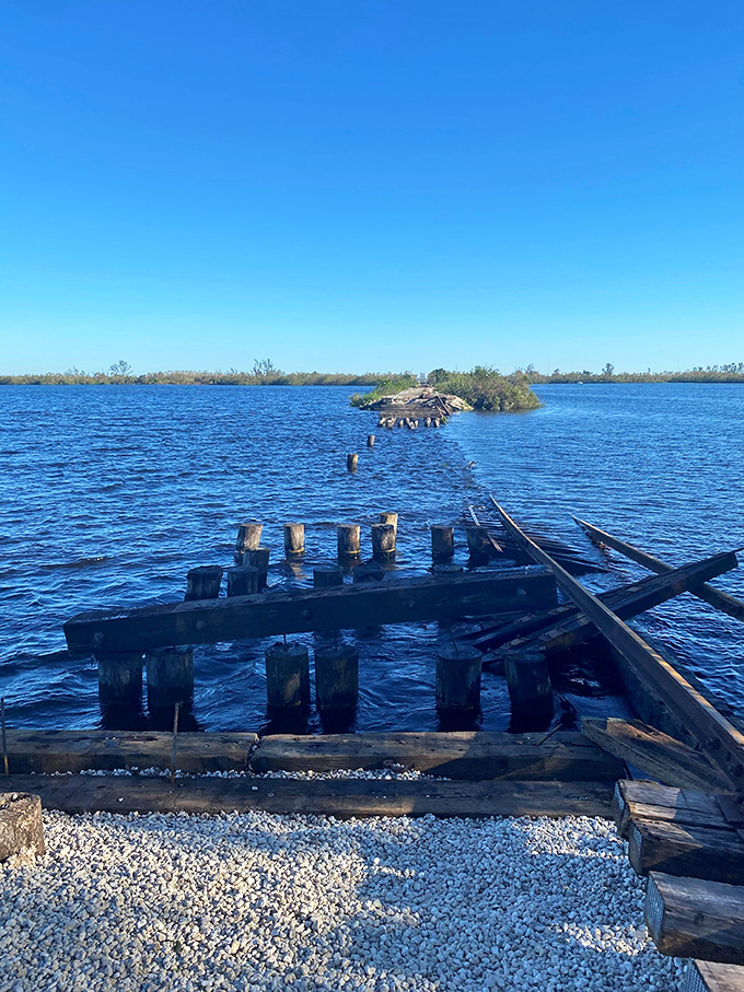 Beyond the tracks: The journey offers glimpses of Old Florida's waterways and remnants of infrastructure from another era. 