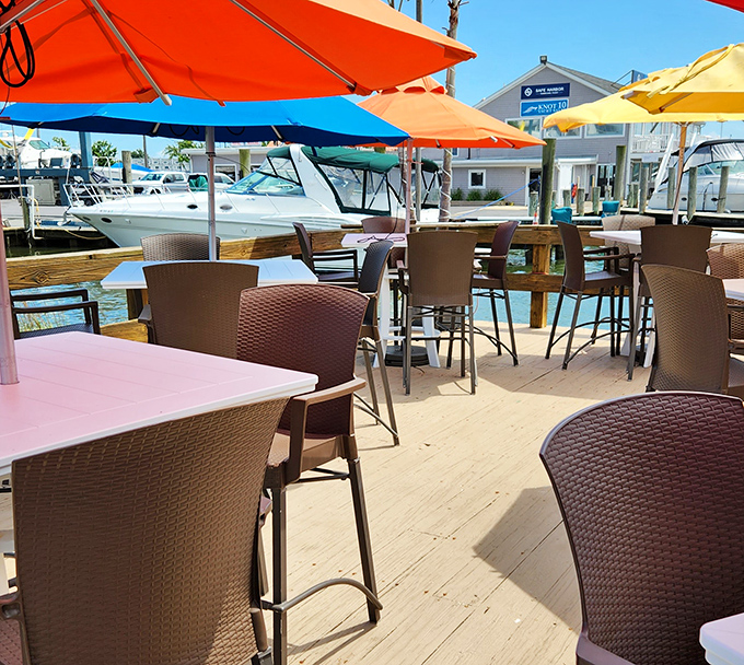 The outdoor deck offers umbrella-shaded sanctuary where boats bob nearby&mdash;reminding you exactly where your meal came from just hours ago.