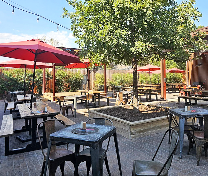 The patio offers a moment of Texas tranquility before the beautiful storm of cheese and beef that's about to hit your table.