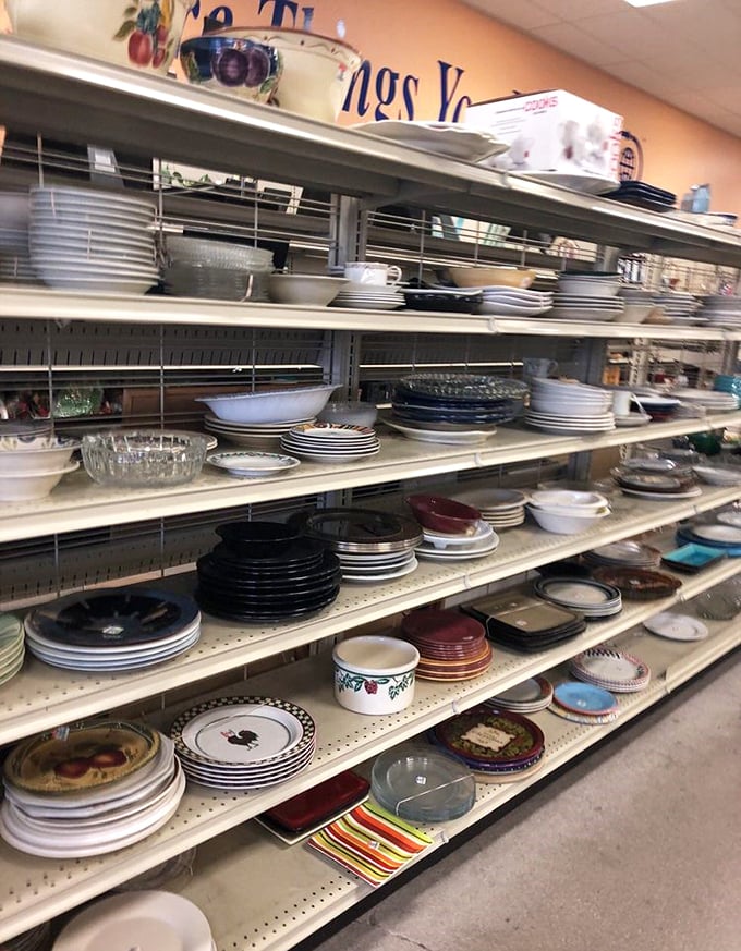 Dinnerware collections wait patiently for their chance to host your next dinner party or Tuesday night leftovers feast.