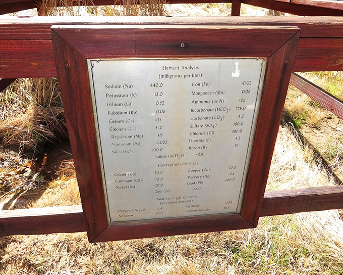 The mineral analysis posted like a wine list&mdash;because some people genuinely care what's in their soak.