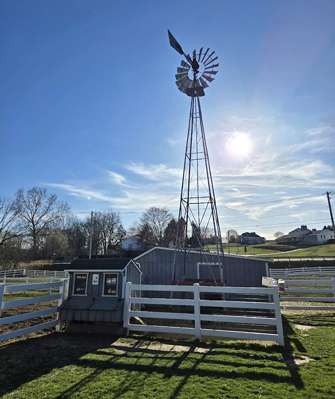 Catching wind before it was cool. This windmill harnesses natural energy without a single TED Talk about sustainability or carbon footprints.