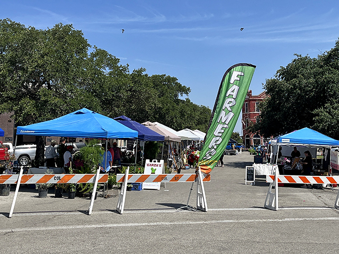 The Farmers and Artisans Market transforms downtown into a community celebration where "locally sourced" isn't a trend&mdash;it's just how things are done.