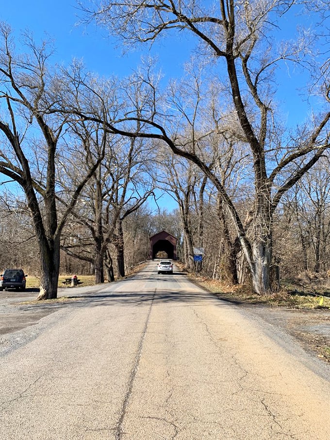 The approach to Meem's Bottom through winter-bare trees creates dramatic suspense. Like the opening scene of a movie you know you'll love.