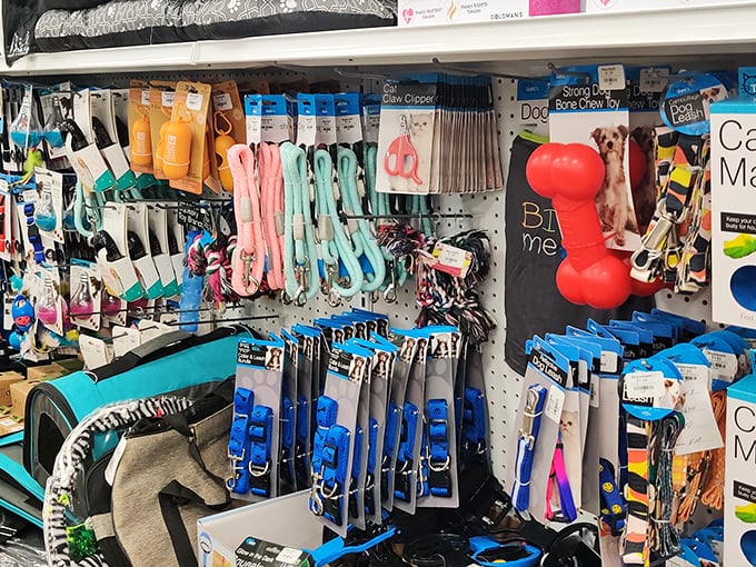 The pet section &ndash; where Fido can get fancy without emptying your wallet, and chew toys get their second chance.