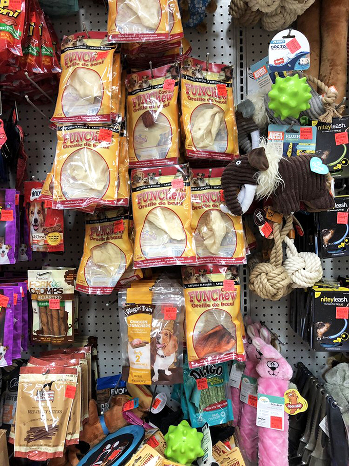 The pet section proves Fido doesn't need to know his toys cost less than your morning coffee. Bargain hunting goes beyond species boundaries here.