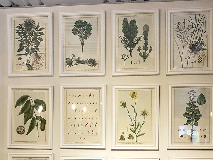Botanical prints arranged with military precision&mdash;bringing order to nature while making your walls look scholarly.
