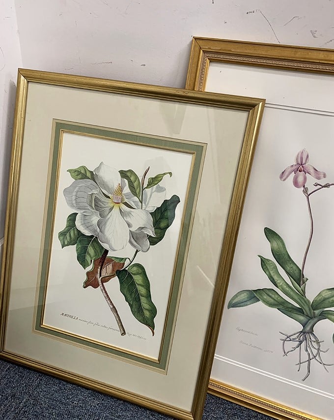 Botanical beauties in gold frames&mdash;wall art that once graced someone's living room now waits to bloom again in yours.