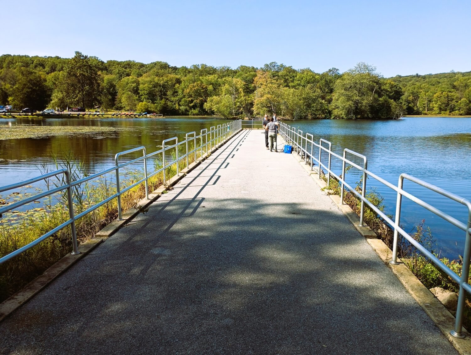 The fishing pier extends like an invitation into the lake's secrets, where patience becomes the currency for memorable stories.