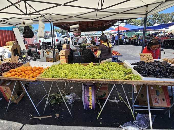 Fresh produce that puts supermarket offerings to shame. Nature's candy displayed with pride by vendors who know their fruits from A to Z.