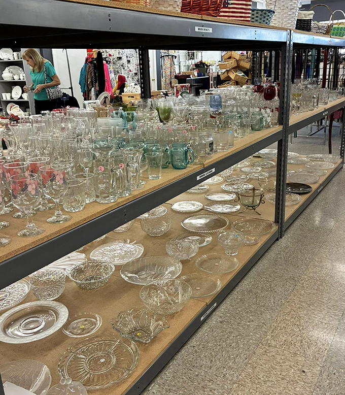 Crystal and glassware gleam under fluorescent lights, each piece waiting to elevate your next dinner party from "nice" to "where did you find that?"