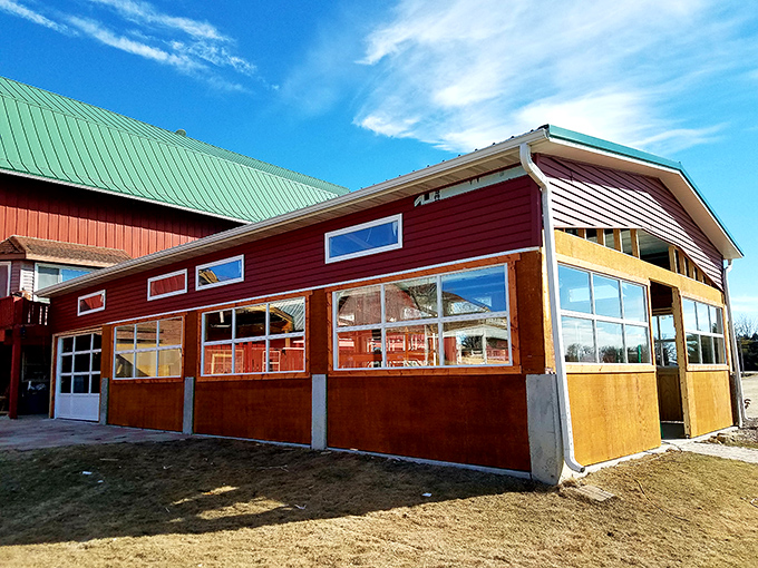 Agricultural beauty surrounds comfortable accommodations designed for peaceful, wallet-conscious country living experiences.