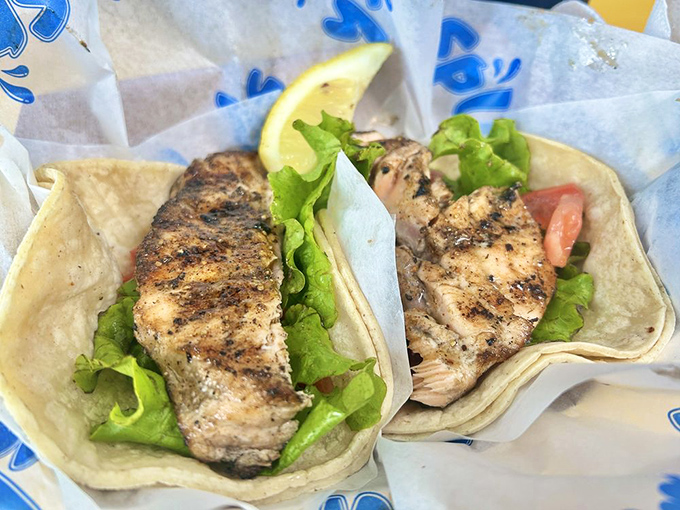 Grilled salmon tacos that make you wonder why you ever bothered with beef. Fresh, flaky, and proof that simplicity often wins.