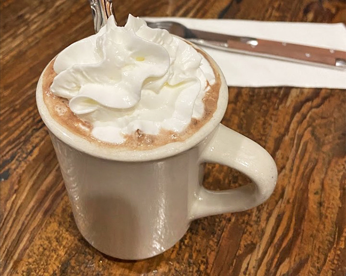 Hot chocolate topped with whipped cream – comfort in a mug for when adulting becomes too much before noon.