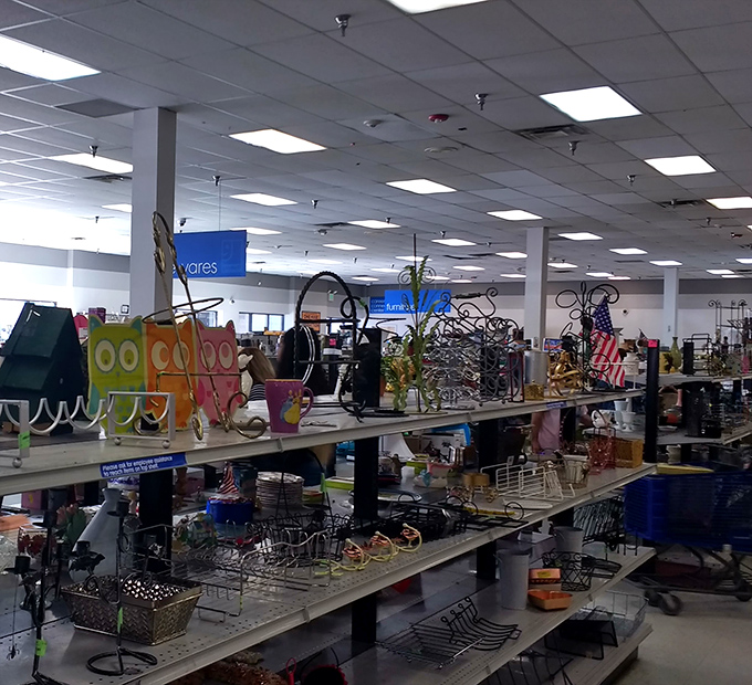 Metal sculptures, baskets, and home decor treasures create a wonderland of possibilities for budget-conscious interior designers and DIY enthusiasts.