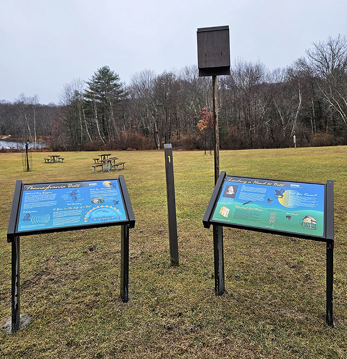 Educational signage brings the invisible to light. These trail-side professors teach visitors about ecosystems without assigning homework or giving pop quizzes.