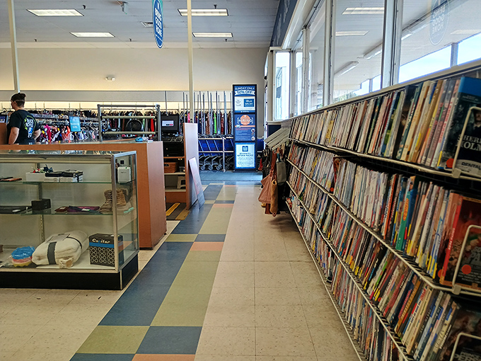 Media wonderland where DVDs and records create a time-travel portal to entertainment's past. Nostalgia sold by the linear foot.