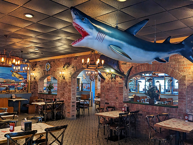That shark suspended from the ceiling isn't just decor&mdash;it's a reminder that you're at the top of the food chain tonight.