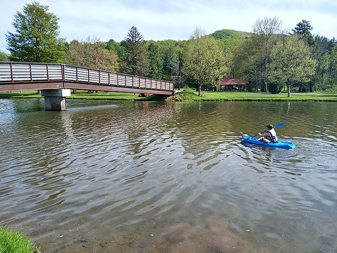 Gliding across Hamlin Lake's tranquil waters, kayakers discover the meditative joy of paddling through nature's own retirement paradise.