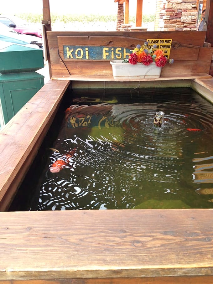 Even the koi fish seem to know they're living in pistachio paradise, swimming lazily while visitors contemplate their next nutty purchase.
