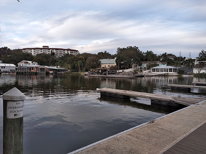 Lake Dora's calm waters reflect the town's relaxed pace, where boats gently bob at docks and time seems to move as leisurely as the ripples across the surface.