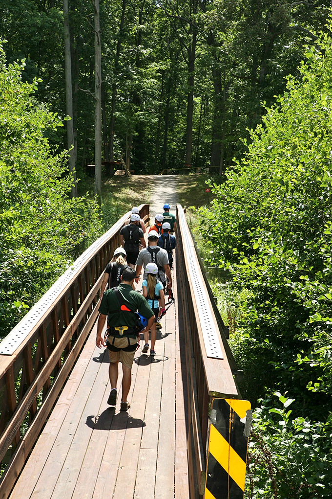 Nature trails that remind you why hiking boots were a good investment. Where "getting your steps in" comes with panoramic views instead of mall displays.
