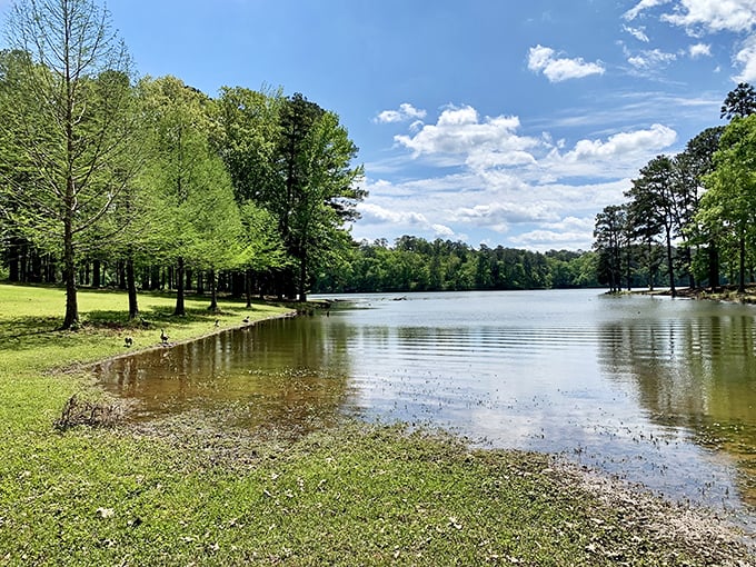 Lake Lowndes offers that perfect mirror-like water surface, reflecting trees and sky in a display that makes even the best HDTV look woefully inadequate.