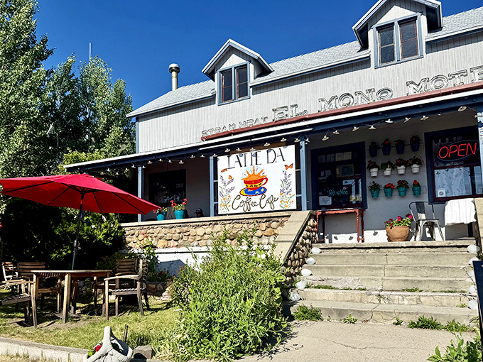 Latte Da Cafe offers that small-town coffee shop vibe where the barista might remember your order before you've even decided what you want.