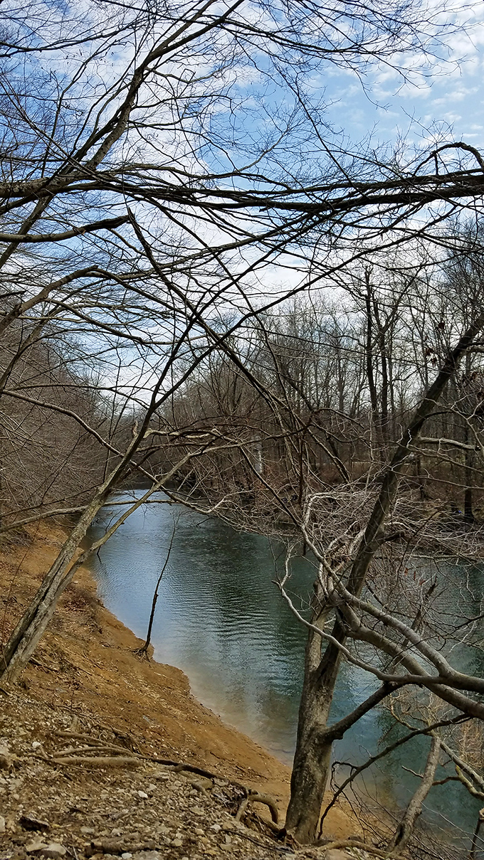 Nature's cathedral in winter&mdash;bare branches creating gothic arches over peaceful waters. Silence has never looked so beautiful.