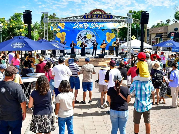 The Lemon Festival celebrates Chula Vista's agricultural roots with music, food, and proof that fun community events needn't cost a fortune.