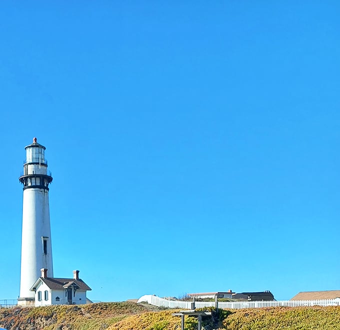 Pigeon Point Lighthouse stands tall against the cerulean sky, a 115-foot exclamation point on the coastline. Since 1872, it's been California's most photogenic maritime guardian.