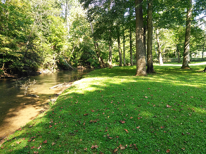 Creekside greenery creates a pocket of tranquility that feels miles from civilization. Nature's therapy session doesn't require an appointment.