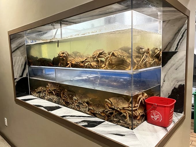 The crab tank&mdash;nature's waiting room where these magnificent crustaceans lounge before their grand transformation into culinary masterpieces.