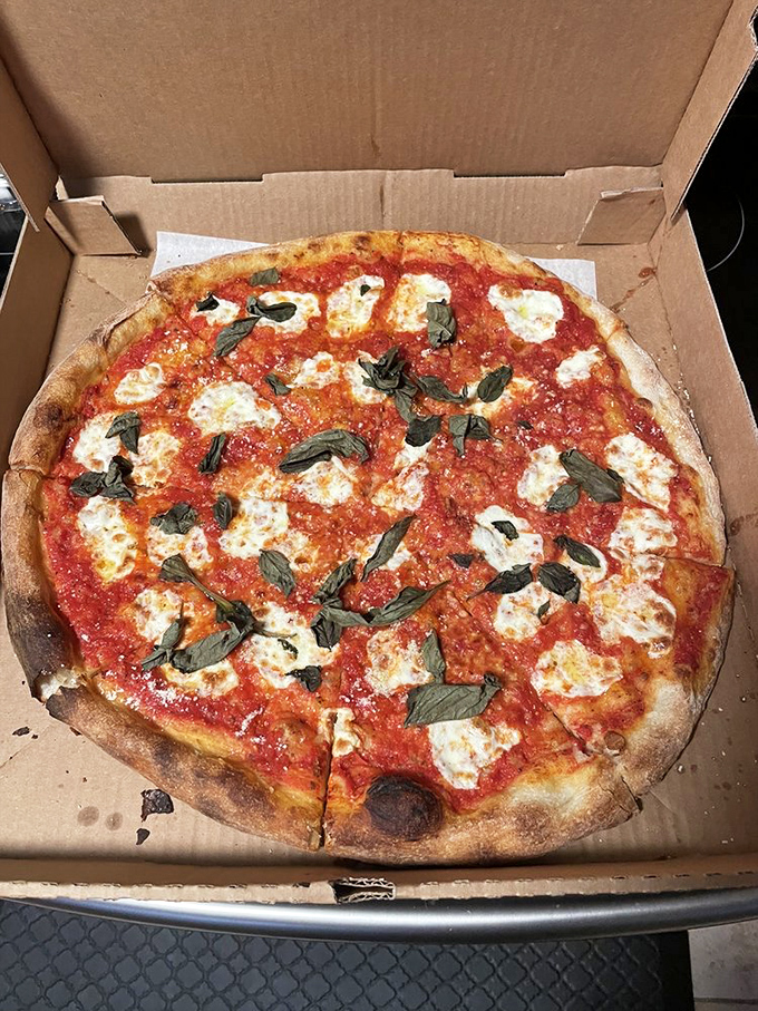 The Margherita pizza&mdash;Italy's greatest gift to humanity besides the Renaissance. Fresh mozzarella islands on a tomato sea with basil continents.