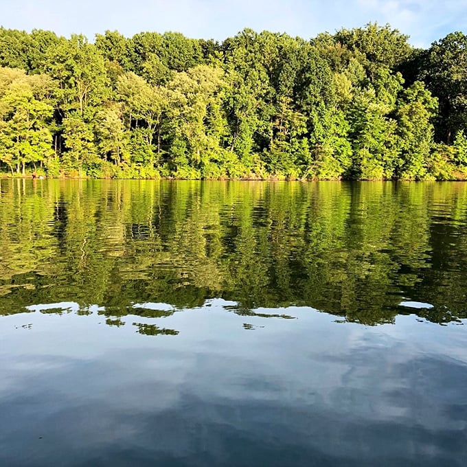 Mirror-like waters perfectly reflect the treeline, creating a symmetry so perfect it could calm even the most chaotic mind.
