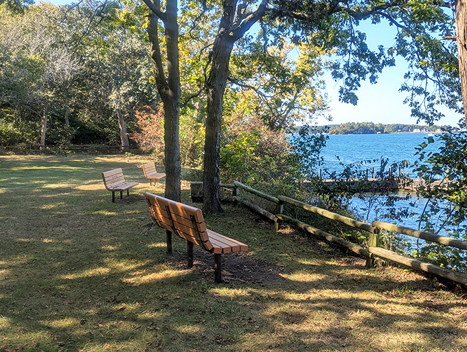 Nature's perfect perch. Massie Cliffside Preserve offers benches with million-dollar views where visitors can watch sailboats dance across Lake Erie's horizon.