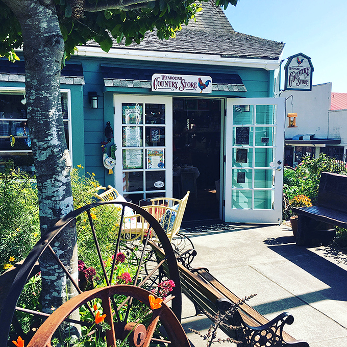The Mendocino Country Store isn't just quaint—it's quaint with a PhD, offering local treasures in a setting that makes big-box stores seem like a sad mistake.