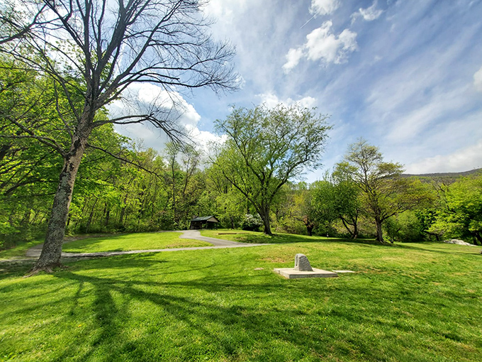 Park greenspace offers breathing room under towering trees, where nature's gym equipment comes free with mountain views included.