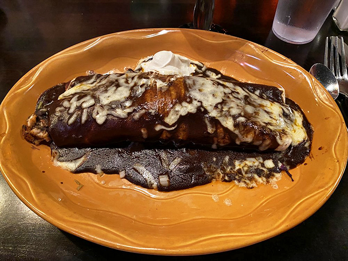 Mole chicken burrito draped in rich, complex sauce that's been perfected over generations of serious cooking dedication.