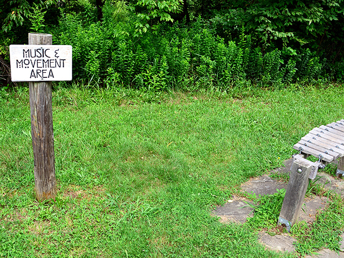 "Music & Movement Area" proves Pennsylvania parks understand the rhythm of relaxation. Nature provides the soundtrack; you bring the dance moves.