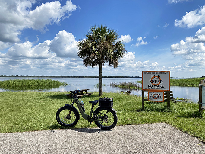 Idle speed, no wake &ndash; words to live by, both on Myakka's pristine waters and perhaps in life generally.