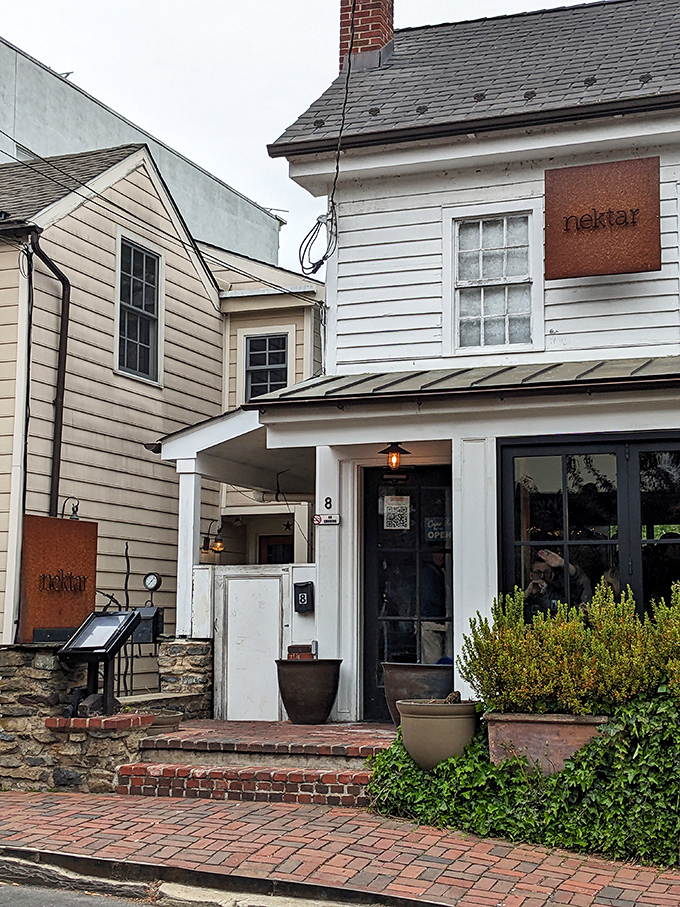 Nektar Wine Bar's unassuming historic exterior belies the sophisticated sipping experience within. Where colonial charm meets contemporary wine culture.