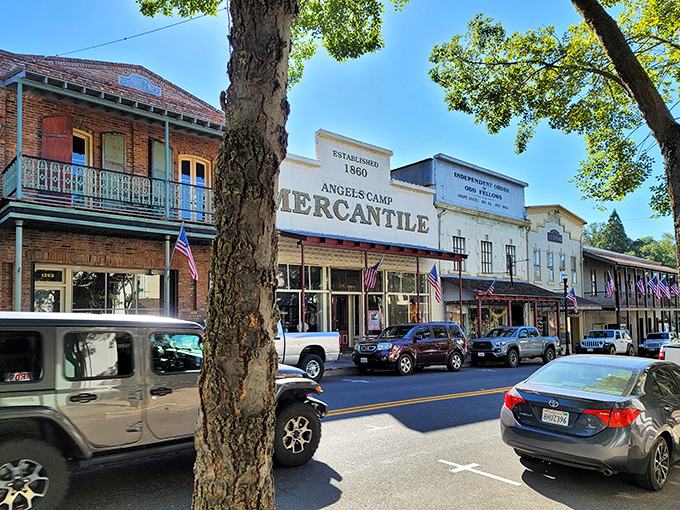 The Mercantile building stands like the town patriarch, surrounded by architectural cousins that complete this Gold Country family portrait.
