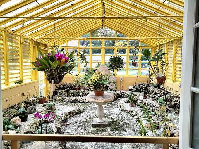 The sunny yellow orchid greenhouse houses delicate blooms that seem to float in the air&mdash;nature's jewelry box opened for public viewing.