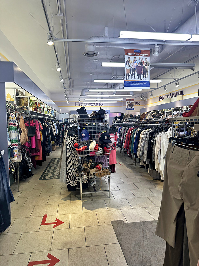 Department store organization meets treasure hunt excitement in this aisle. The red shopping cart holds someone's discoveries-in-progress.