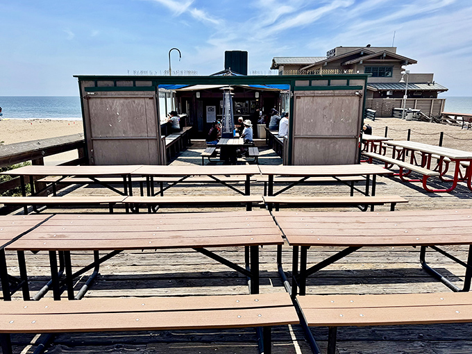 Wooden benches facing endless blue horizon—the complimentary side dish that comes with every meal at Beach House Tacos.