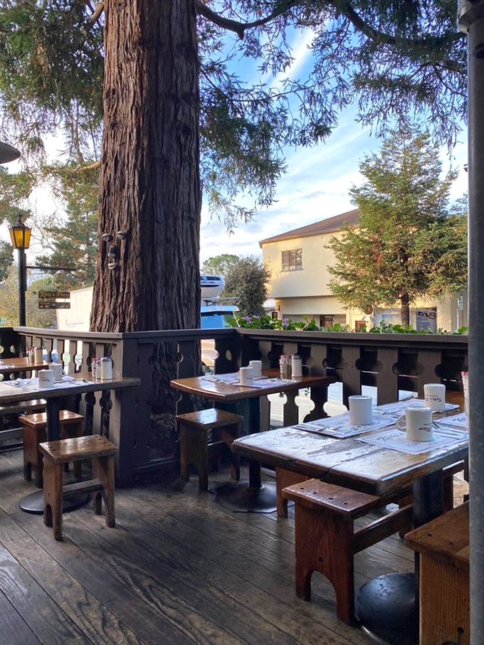 The outdoor patio offers al fresco dining under ancient trees, where even the squirrels look envious of your meal.